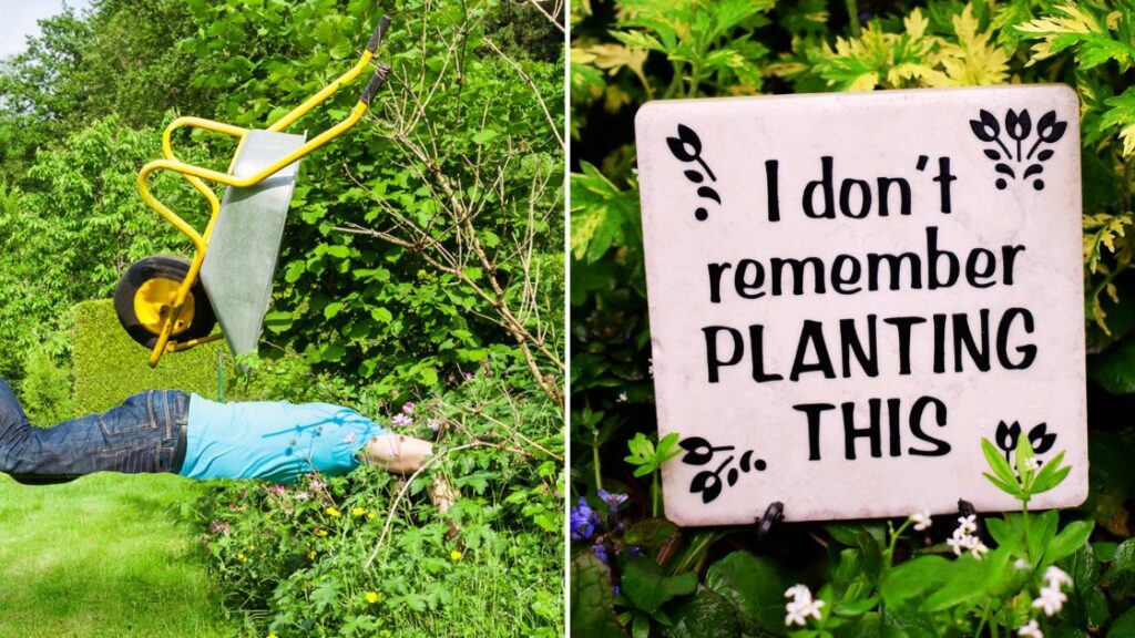 15 Epic Garden Fail Memes That You Won’t Believe Really Happened ...