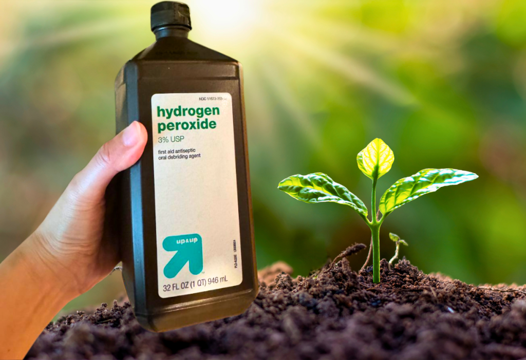 Unlocking the Benefits of Hydrogen Peroxide in Gardening - Green Thumb ...