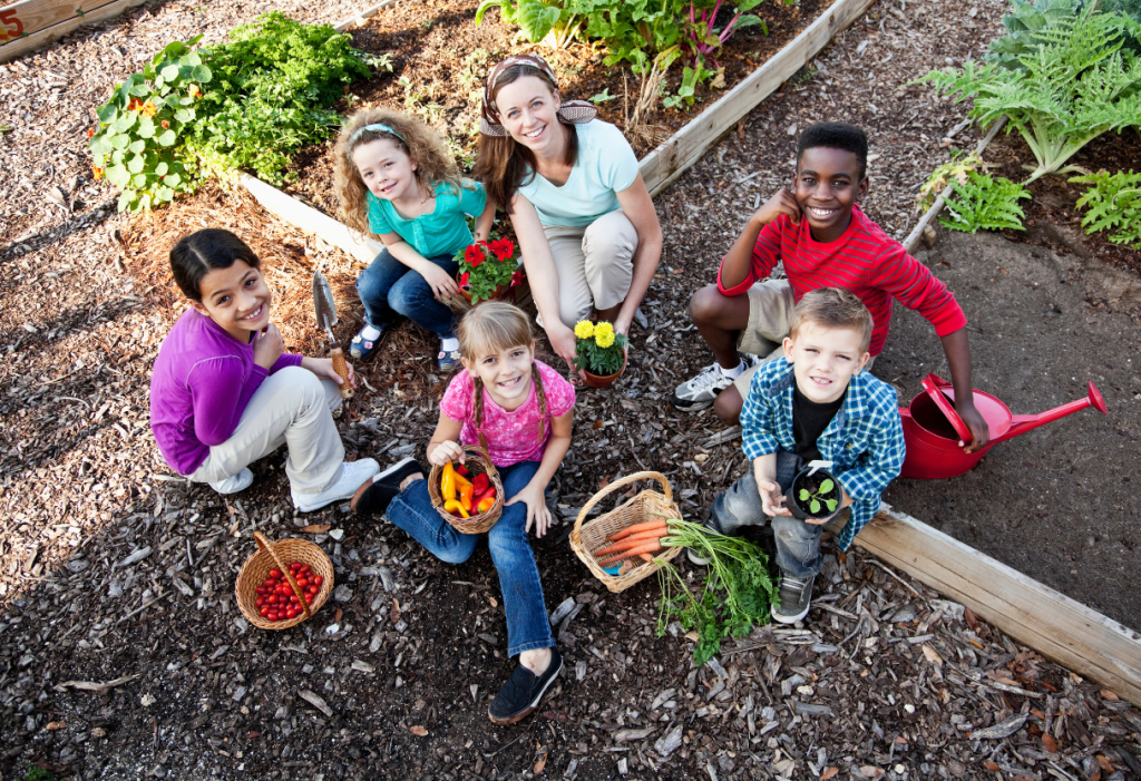 Start Your Own Community Garden: Tips and Tricks – Green Thumb Daily