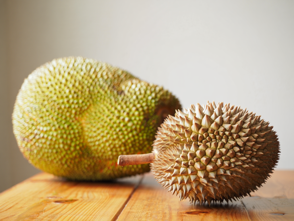 Jackfruit vs Durian: Explore the Unique Tropical Fruits – Green Thumb Daily