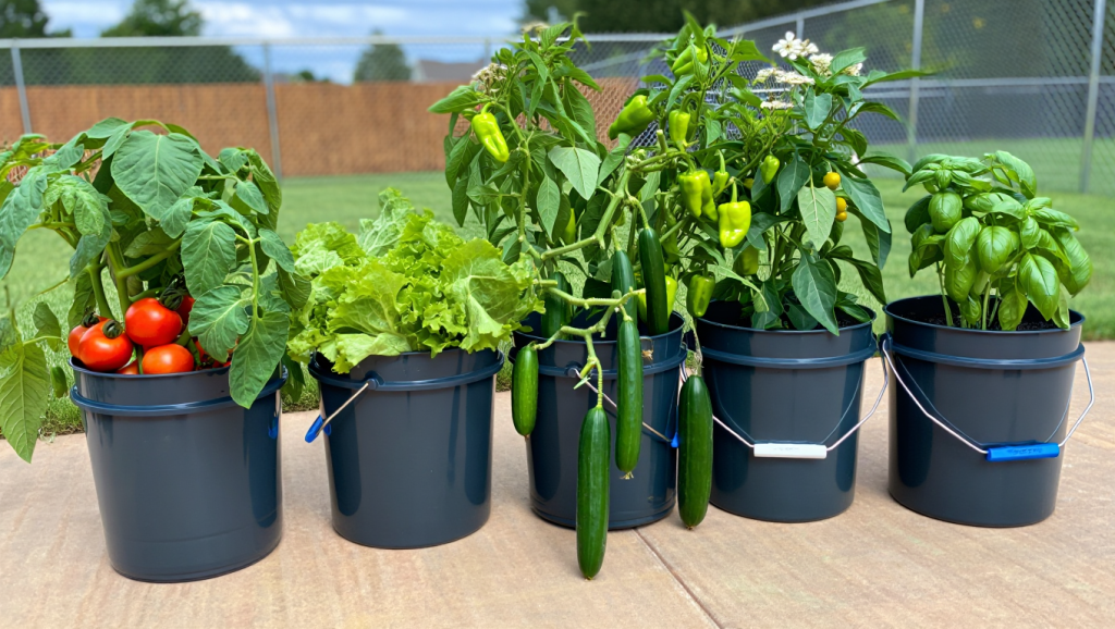 5 Gallon Bucket Gardening: Easy DIY Container Garden for Any Space