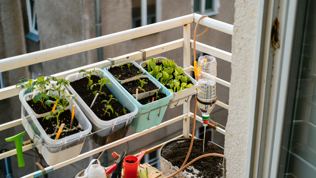 Small-Space Gardening: 7 Crops That Thrive in Containers – Green Thumb ...