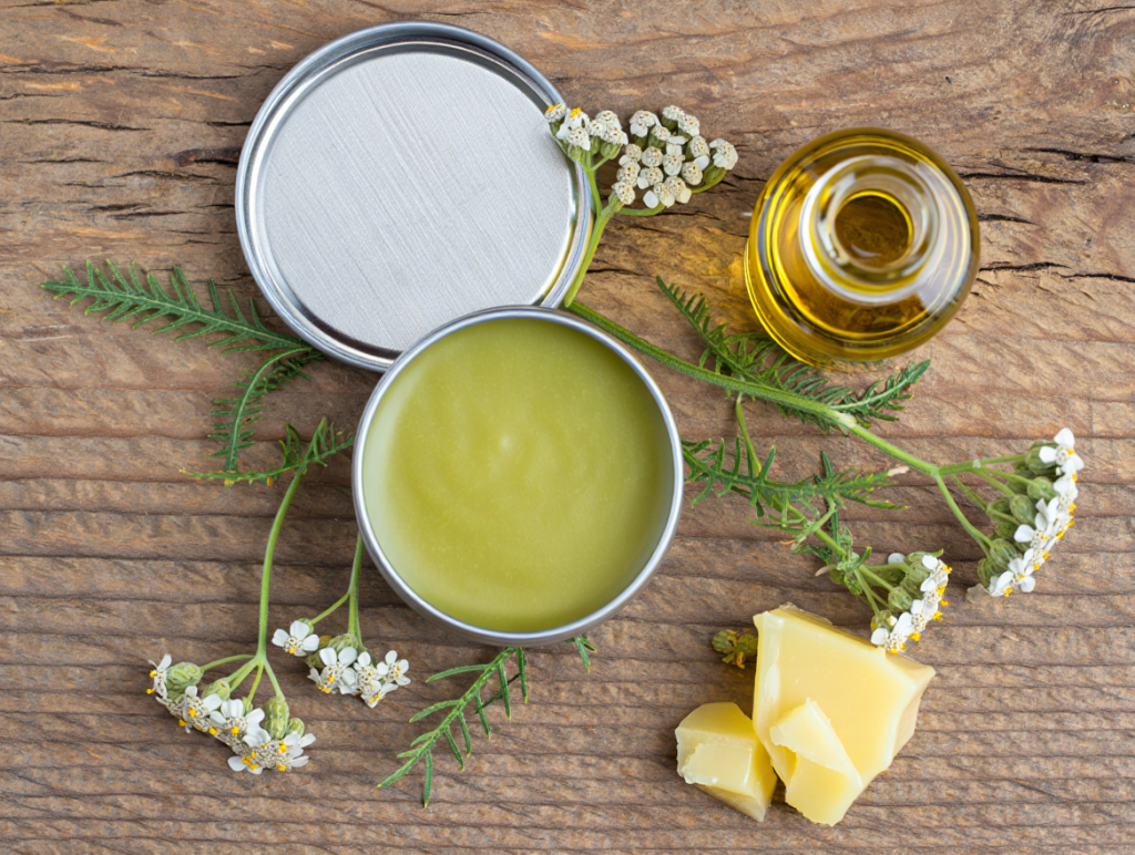 Yarrow Salve: The “Soldier’s Woundwort” Recipe for Your Home First Aid ...